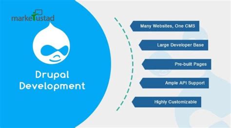 How To Choose The Right Drupal Development Company Marketustad