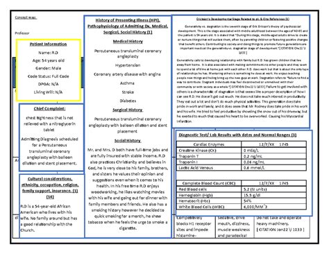 Concept Mapp Concept Map Professor Medications With Apa Citations