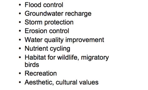 Wetlands Final Exam Flashcards Quizlet
