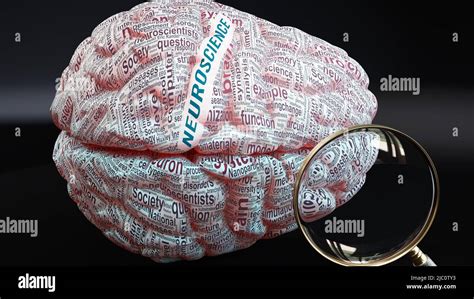 Neuroscience In Human Brain A Concept Showing Hundreds Of Crucial Words Related To Neuroscience