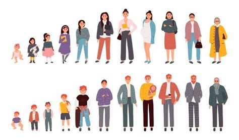 남성과 여성의 노화 단계 연령대가 다른 사람들 만화 스타일의 일러스트 프리미엄 벡터 Cartoon Styles