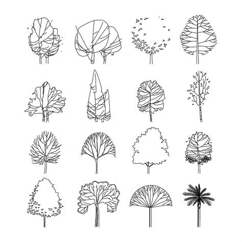 Tree Drawing Vector At Vectorified Com Collection Of Tree Drawing Vector Free For Personal Use