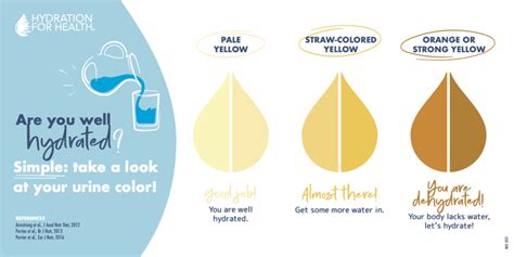 Dont Underestimate Hydration For Back Pain The Pilates Guy