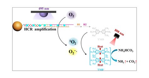 Light Driven Photocatalyticphotothermal Synergetic System For Portable And Sensitive Nucleic