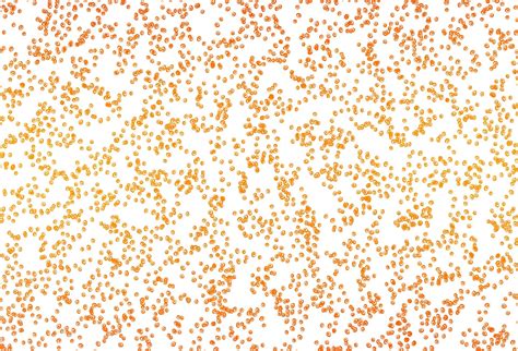 Light Orange Vector Layout With Circle Shapes 12240573 Vector Art At Vecteezy