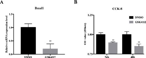 Figure 1 From Rev Erbα Inhibits Proliferation And Promotes Apoptosis Of
