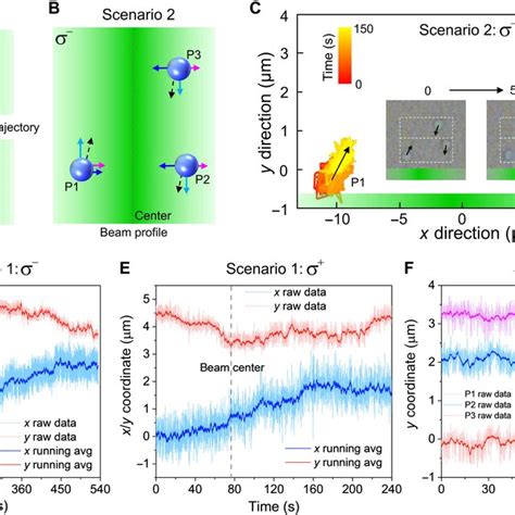 Quantitative Analysis Of Spin Angular Momentum Correlated Optical
