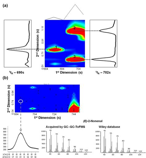 A Blow Up Of A Part Of Gc×gc Chromatogram Contour Plot Of One Beer