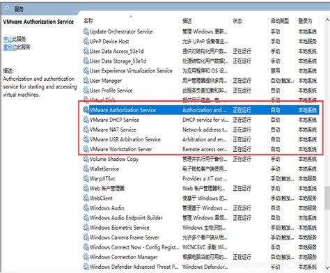 vmware虚拟机——nat模式无法访问网络 nat模式下文件访问不了 csdn博客
