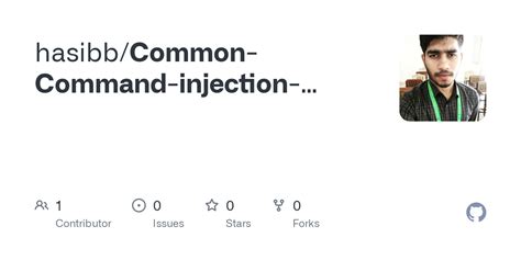 Github Hasibb Common Command Injection Example