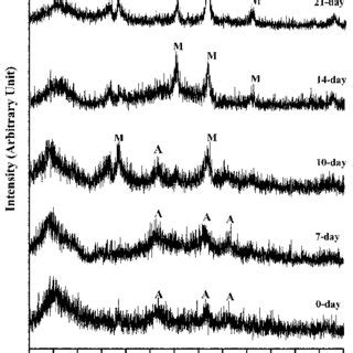 XRD Patterns Of Iron Minerals Formed By The Psychrotolerant Iron Download Scientific Diagram