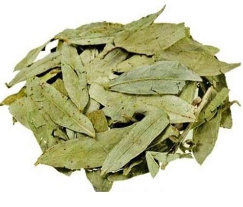 Сенна лист – Оптовый интернет-магазин лекарственных трав "Шанс"