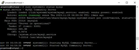 Instalar MySQL Server En Linux Ubuntu Server Usuario Con Privilegios Y Acceso Externo