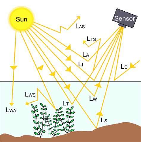 Figure 1 From A Review Of Remote Sensing Of Submerged Aquatic Vegetation For Non Specialists