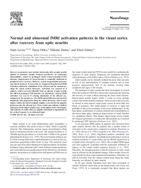 pdf normal and abnormal fmri activation patterns in the visual cortex