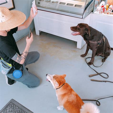 Fell Cole 펠앤콜 펠앤콜 왕단골 조디 포스터 아스크림 빨리 먹고 싶은데 아빠가 사진 Facebook