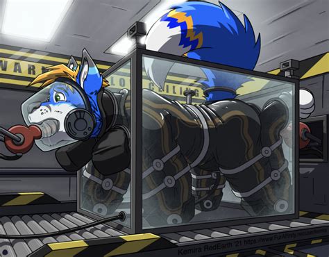 Rule 34 2021 All Fours Anal Anal Sex Animal Dildo Animal Sex Toy