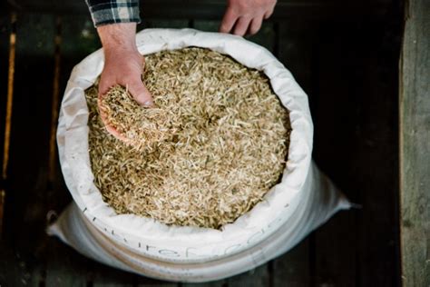 Future Feeds Oat Straw Chaff