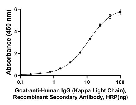 Invitrogen Goat Anti Human Igg Kappa Light Chain Recombinant