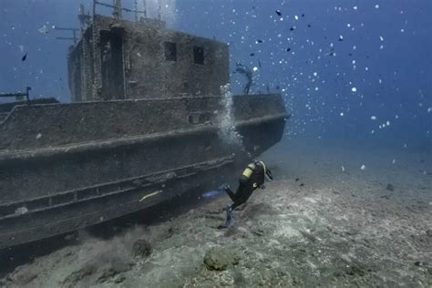 Ss Bedgelert Shipwreck • Attractions