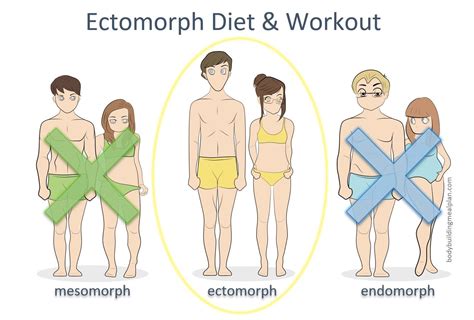 Ectomorph Workout Women