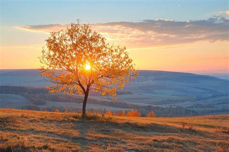 Strategies And Importance Of Ecosystem Conservation For Biodiversity And Environmental Health