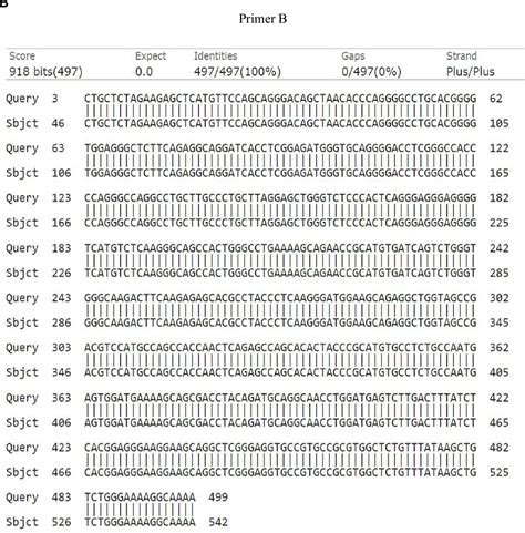 Pdf Multiple Recurrent Copy Number Variations Cnvs In Chromosome 22