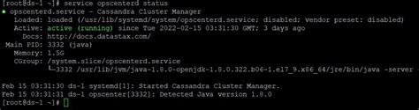 DataStax On Oracle Cloud Infrastructure INFOLOB Global