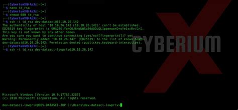 Tryhackme Weasel Writeup Cyberiumx