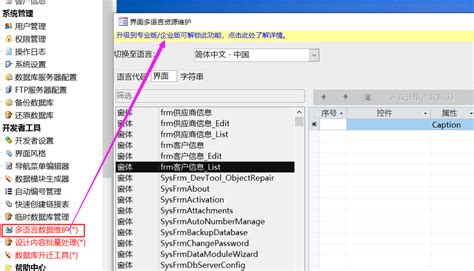 Access快速开发平台中文界面转换英文界面的方法（仅限于企业版专业版平台）【access软件网】