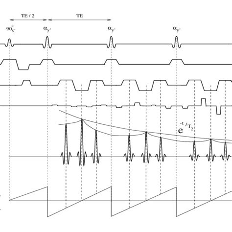 13 Grase Sequence With Three Gradientechoes Per Rf Refocusing