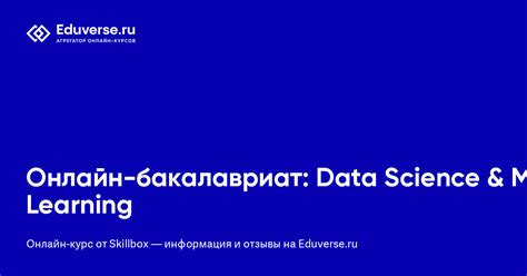 Отзывы о курсе Онлайн бакалавриат Data Science And Machine Learning от Skillbox Eduverse