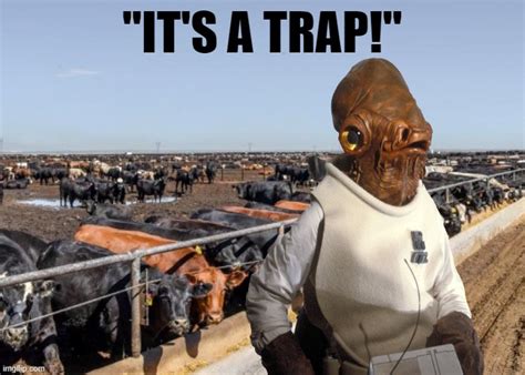 Feedlot Memes Harvest Memes To Make You Laugh In The Combine Beef