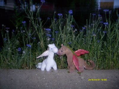 The Magic Of A Scorching Summer Evening Tumbex