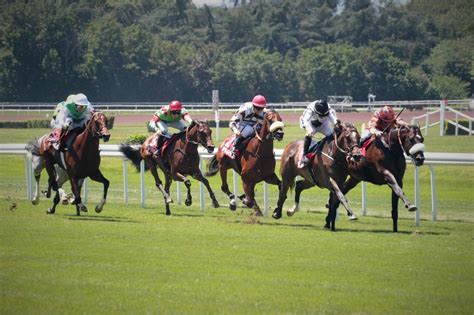 Hippodrome de Lyon-Parilly - Office du tourisme de Lyon