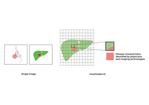 Application Interpretability And Clinical Translation Of Deep