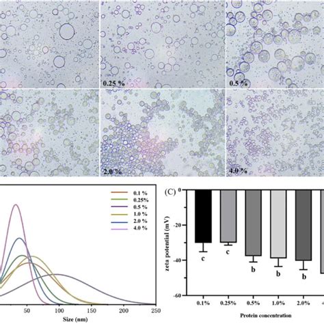 Optical Microscopy Image With 200 × Magnification A And Droplet Size Download Scientific