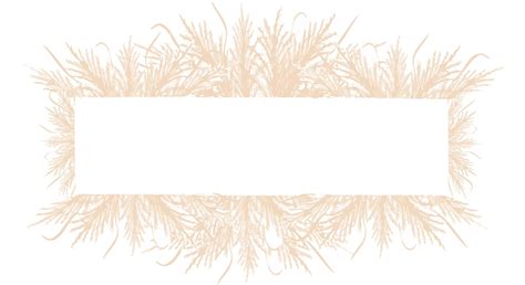 Premium Vector Frame With Dry Pampas Grass Border On White Background