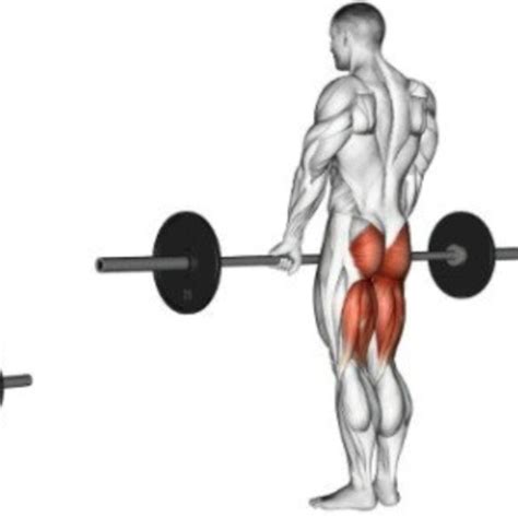 Rdls By Kc H Exercise How To Skimble Workout Trainer