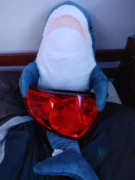 Blahaj Just Bought A Brake Light What Should He Do With It R Blahaj