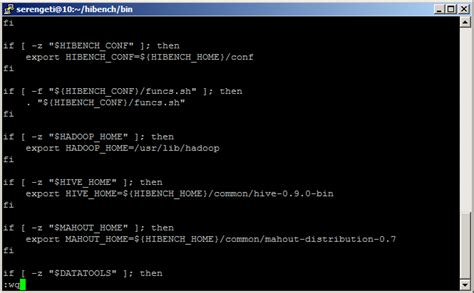 vmware big data extensions and hadoop for infrastructure benchmarking