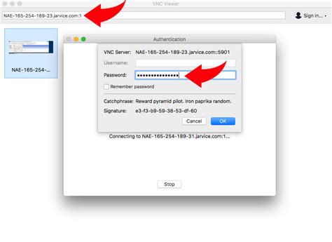 How To Use Vnc On Jarvice Nimbix