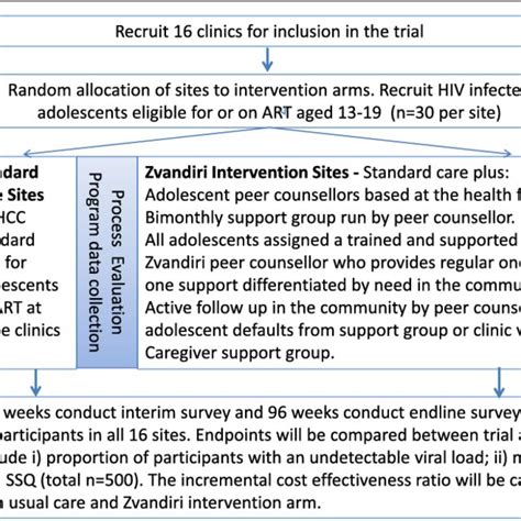 Intervention Monitoring And Process Evaluation Framework Download Scientific Diagram