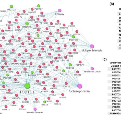 Disease Associated Variant Genes Proteins Interacting With Sars Cov 2 Download Scientific