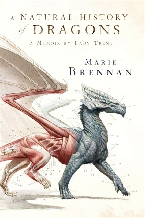 23 Dragon Books Every Fantasy Lover Should Read Rachel A Greco