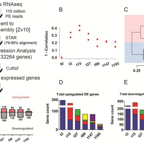 rnaseq analysis workflow a pipeline used for filtering rnaseq reads