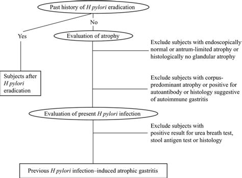 Previous Helicobacter Pylori Infectioninduced Atrophic Gastritis A Distinct Disease Entity In