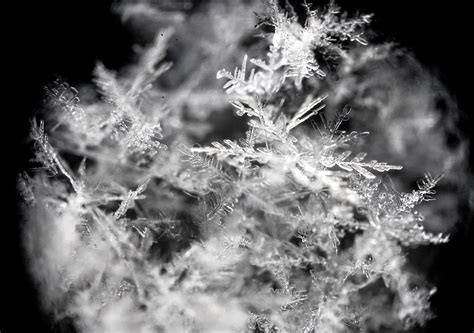 Cluster Algebras Network Science And Machine Learning Lims