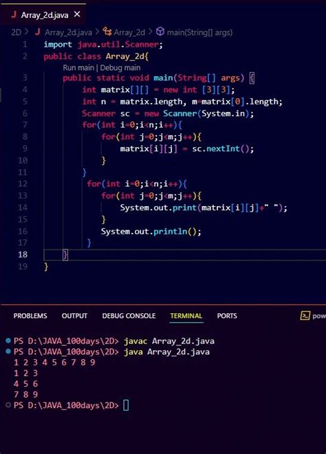 100daysofcode 2darray Dsa Codingjourney 100daysofcodechallenge
