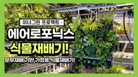 수경재배 에어로포닉스 식물재배기식물공기청정기 그린에어 Youtube